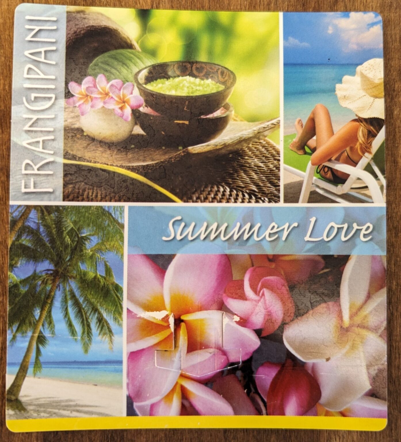 Frangipani - Summer Love - Guildford Garden Centre