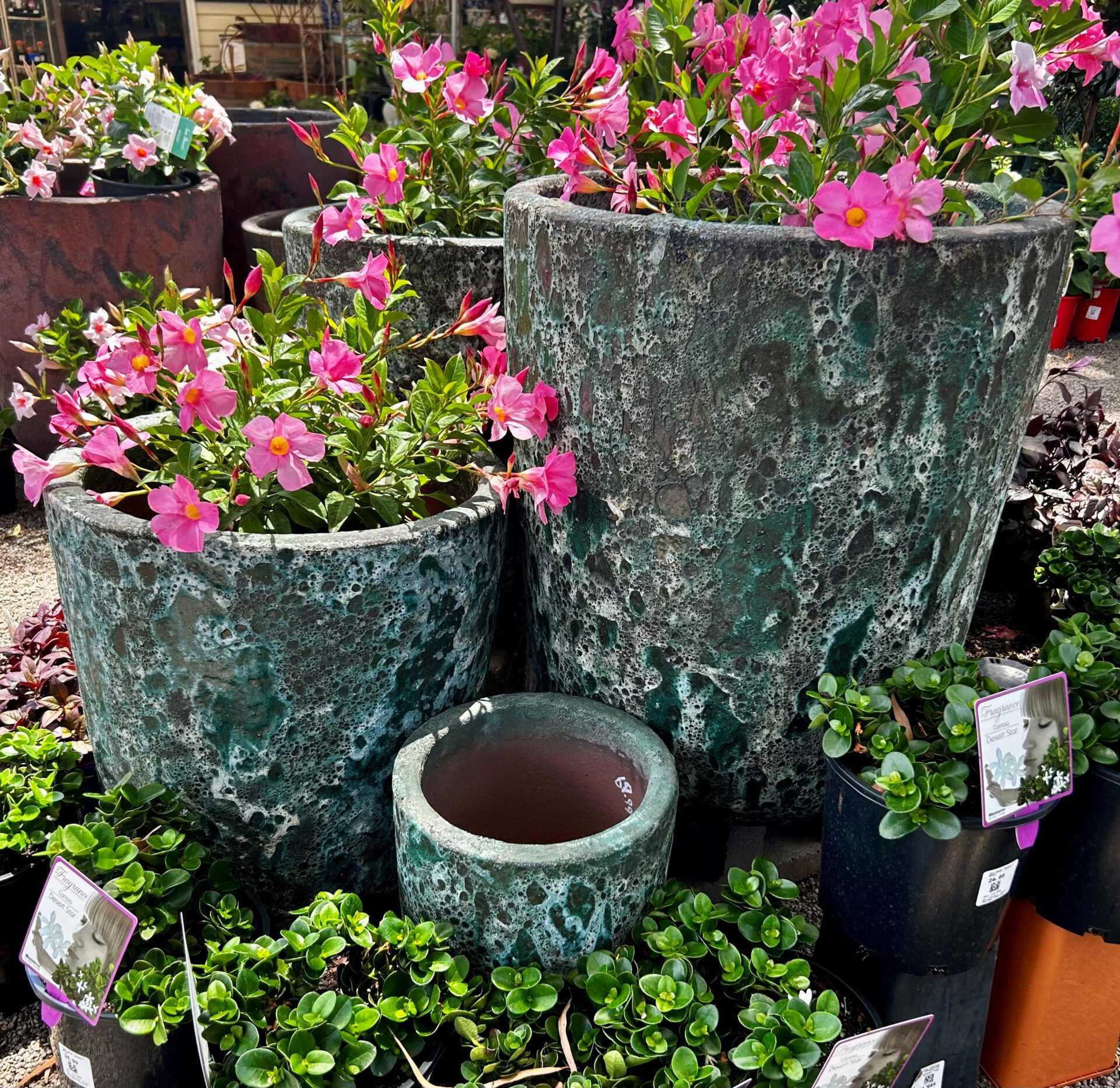 Pot - Rhia U Pot Atlantis Green - Ceramic - Guildford Garden Centre