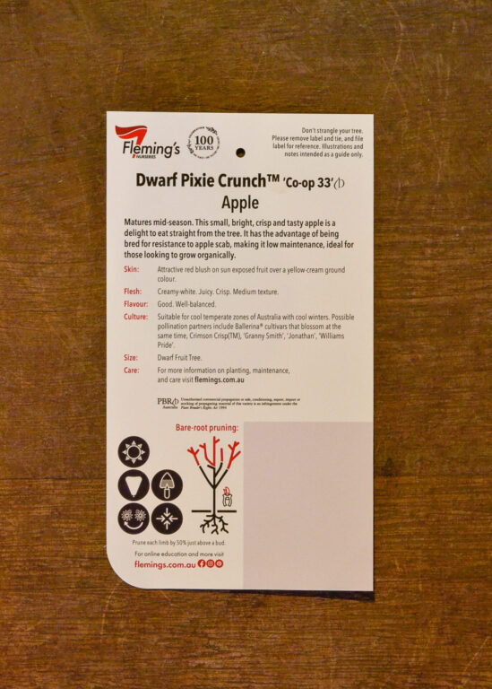 Apple - Pixie Crunch™ Dwarf - Guildford Garden Centre