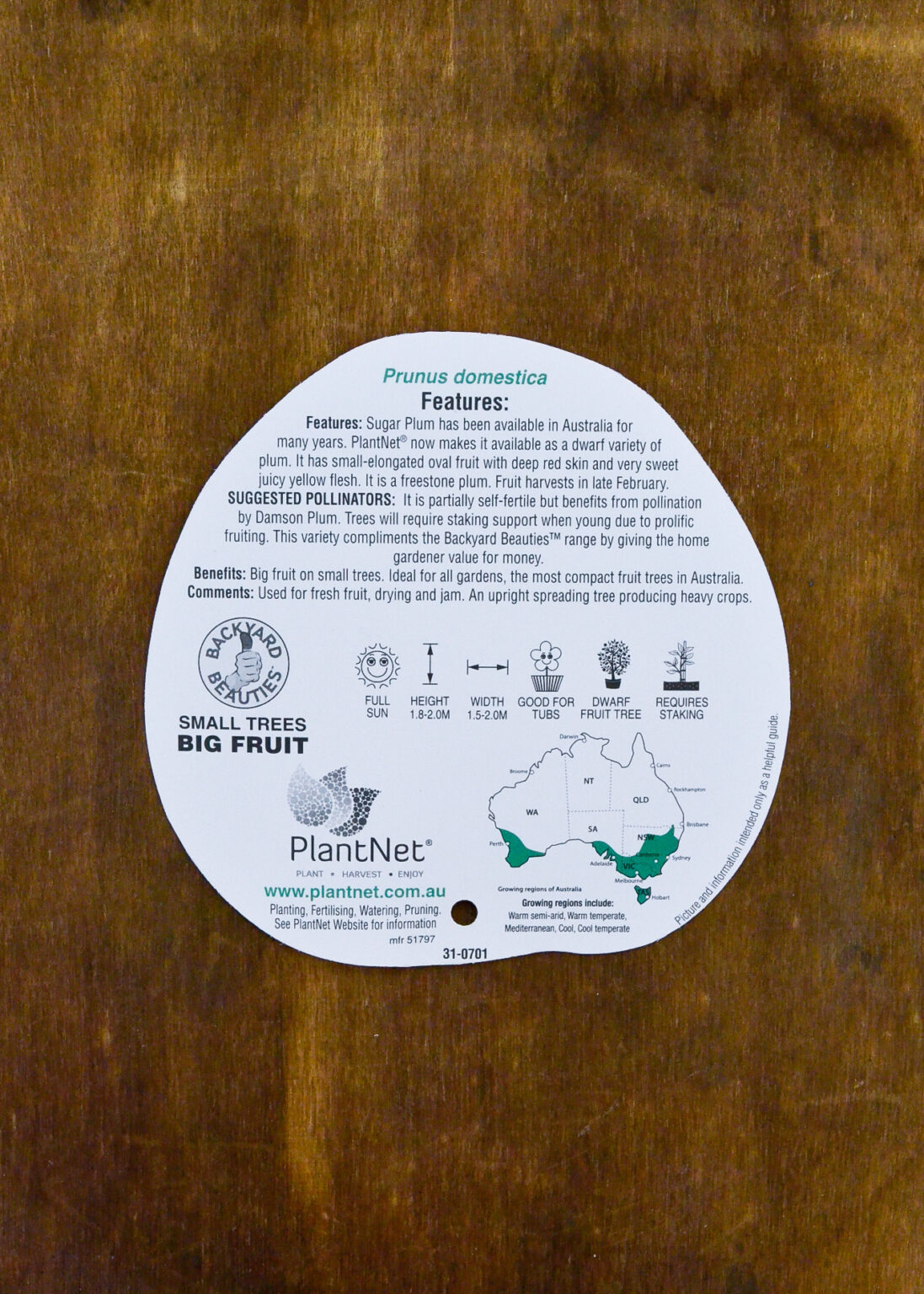 Plum - Sugar (Prune) Dwarf - Guildford Garden Centre