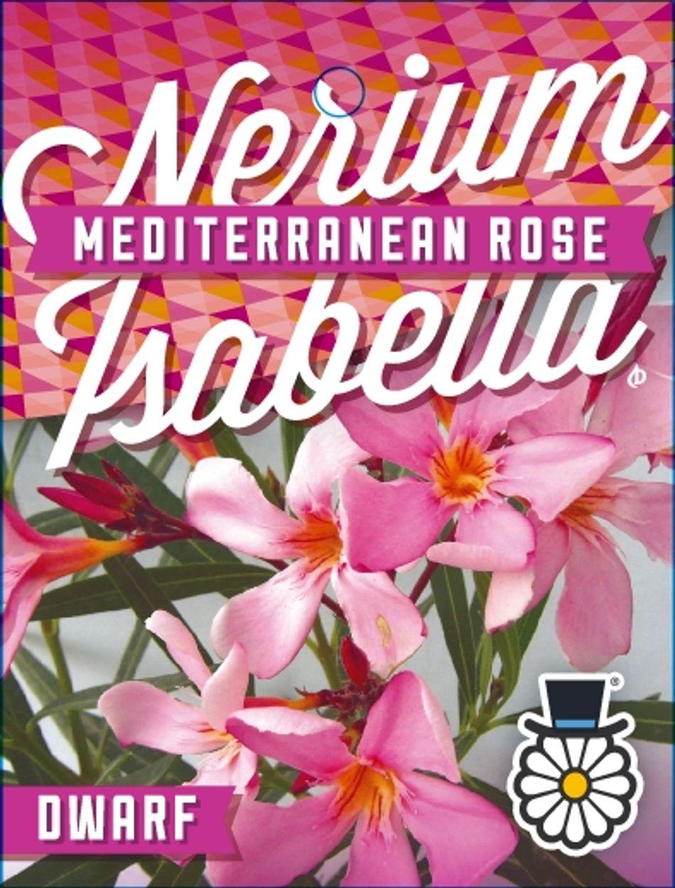 Oleander - Mediterranean Rose - Isabella - Guildford Garden Centre