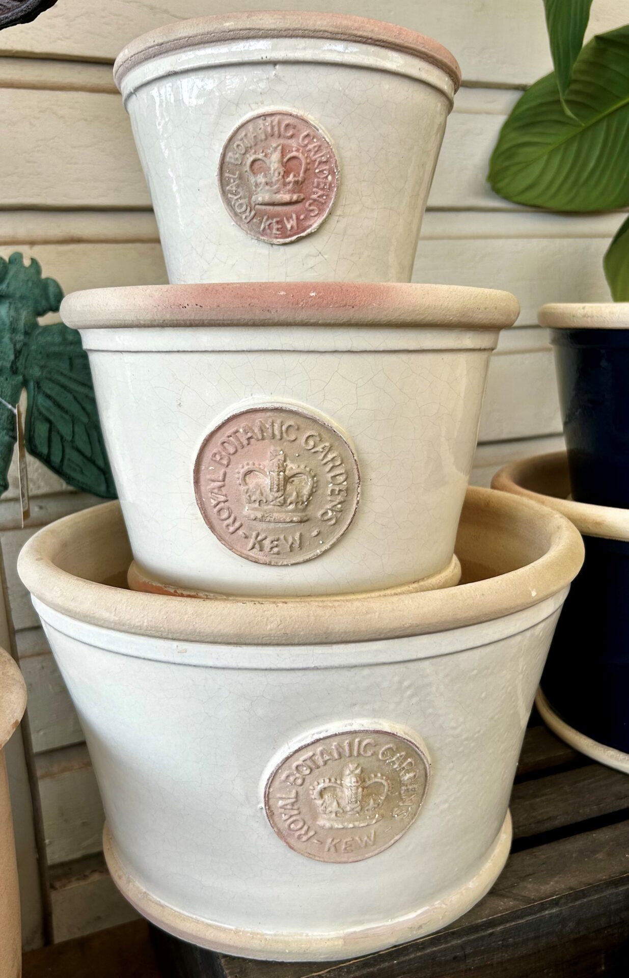 Pot - Kew Low Ivory - Ceramic - Guildford Garden Centre