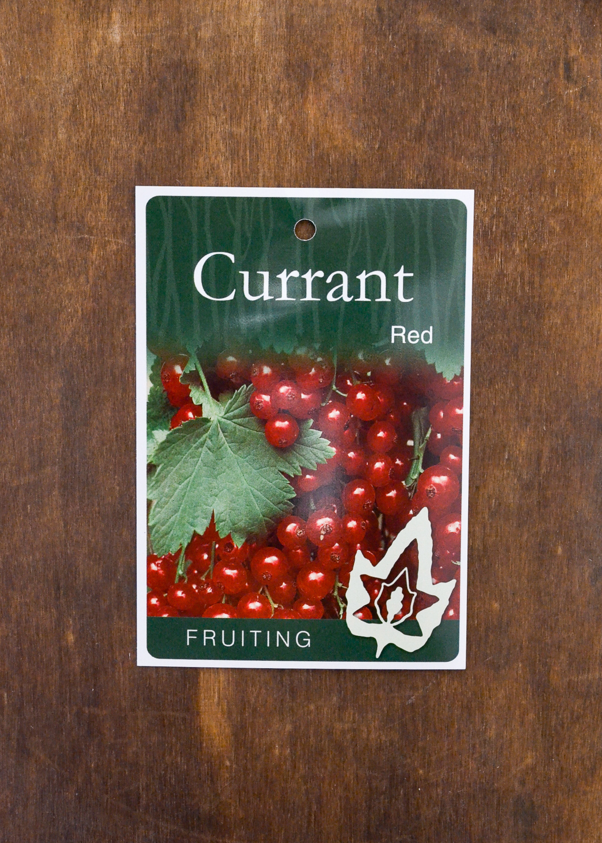 Currant - Red - Guildford Garden Centre