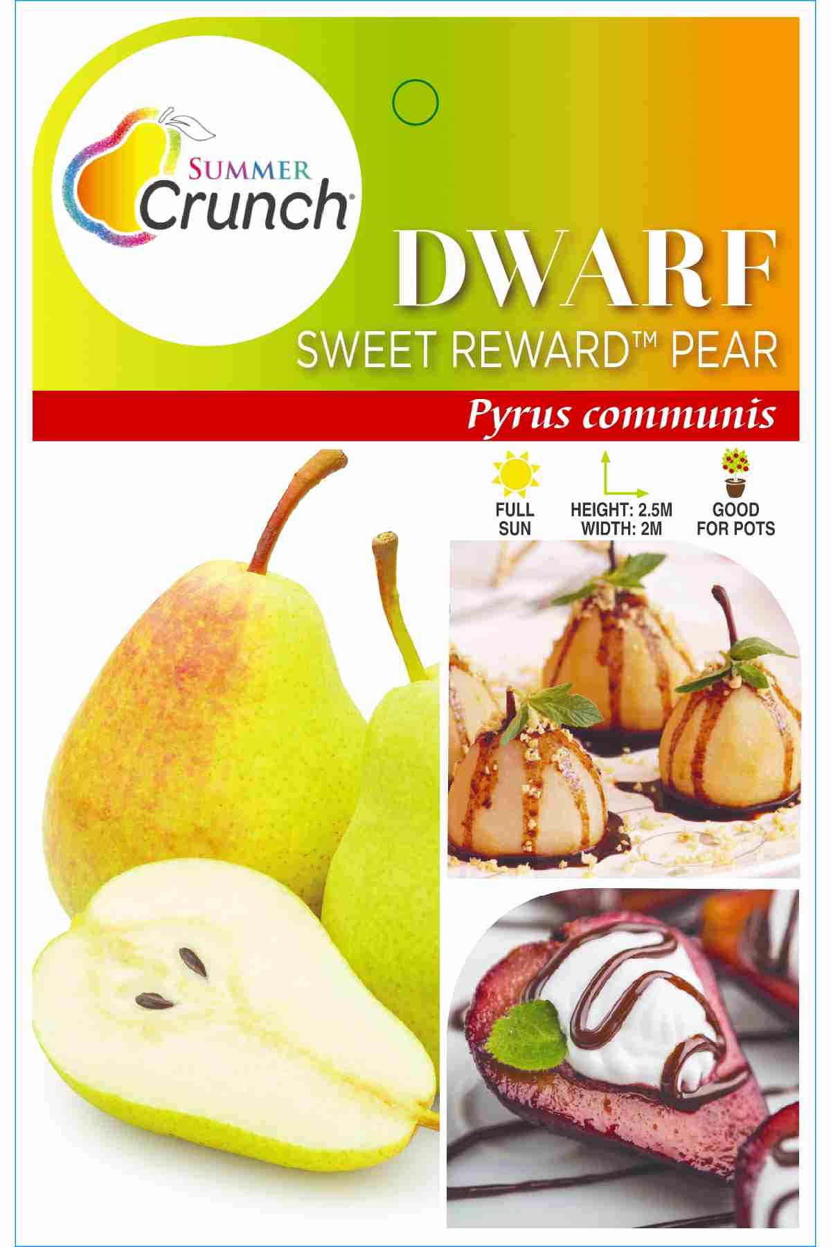Pear - Sweet Reward - Dwarf - Guildford Garden Centre