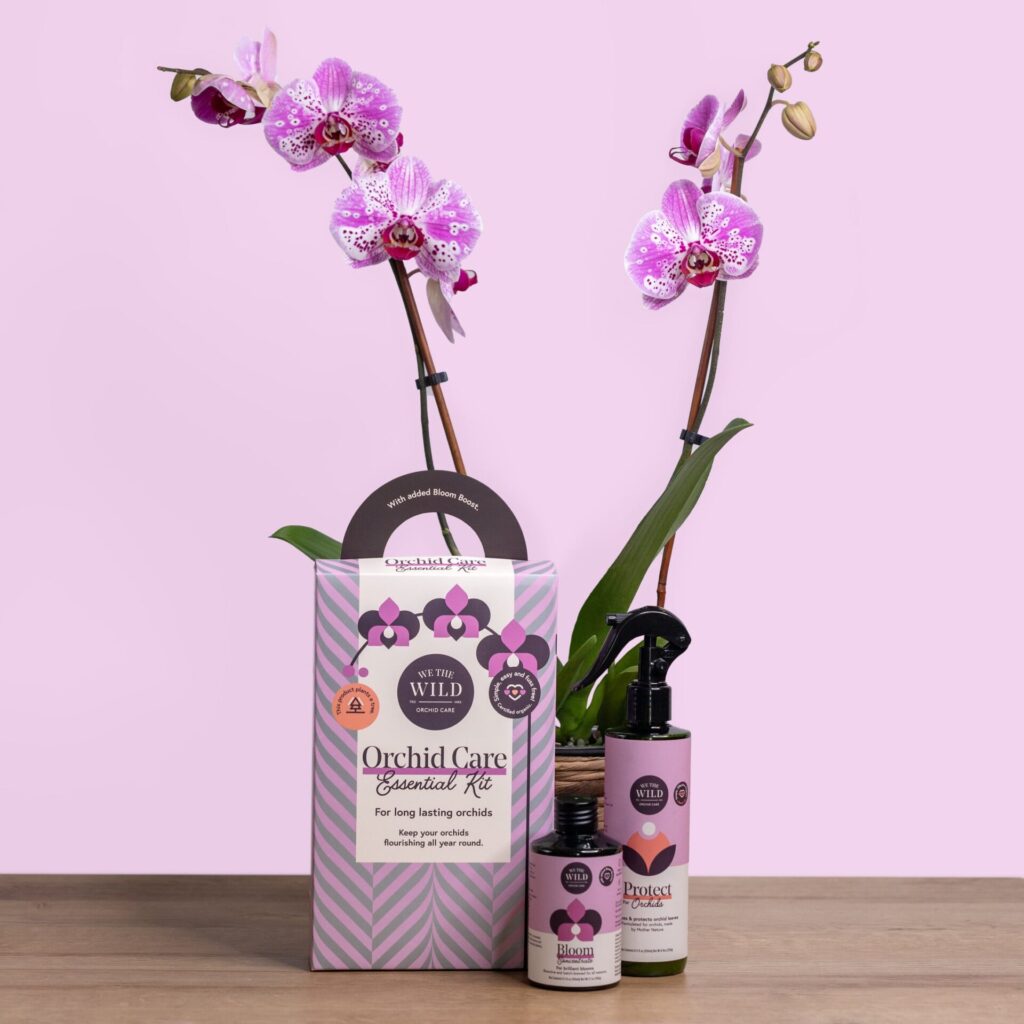 Orchid Essential Kit - We The Wild - Guildford Garden Centre