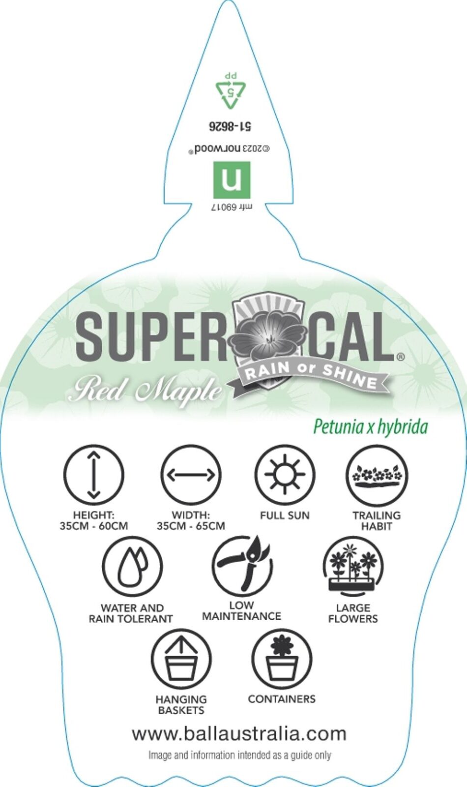 Petunia - Petchoa - Red Maple - Guildford Garden Centre