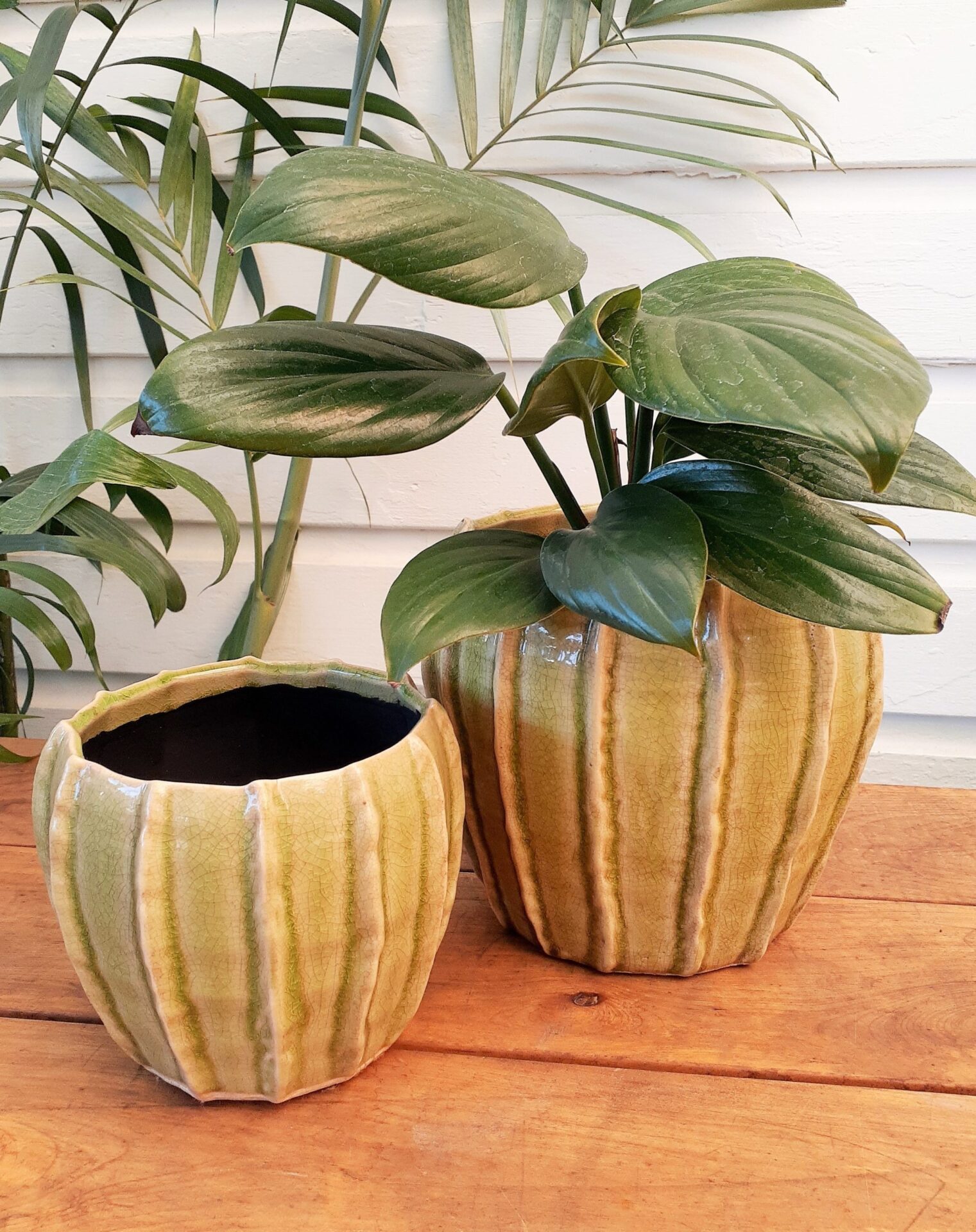 Pot - Ribbed Green - Ceramic - Guildford Garden Centre