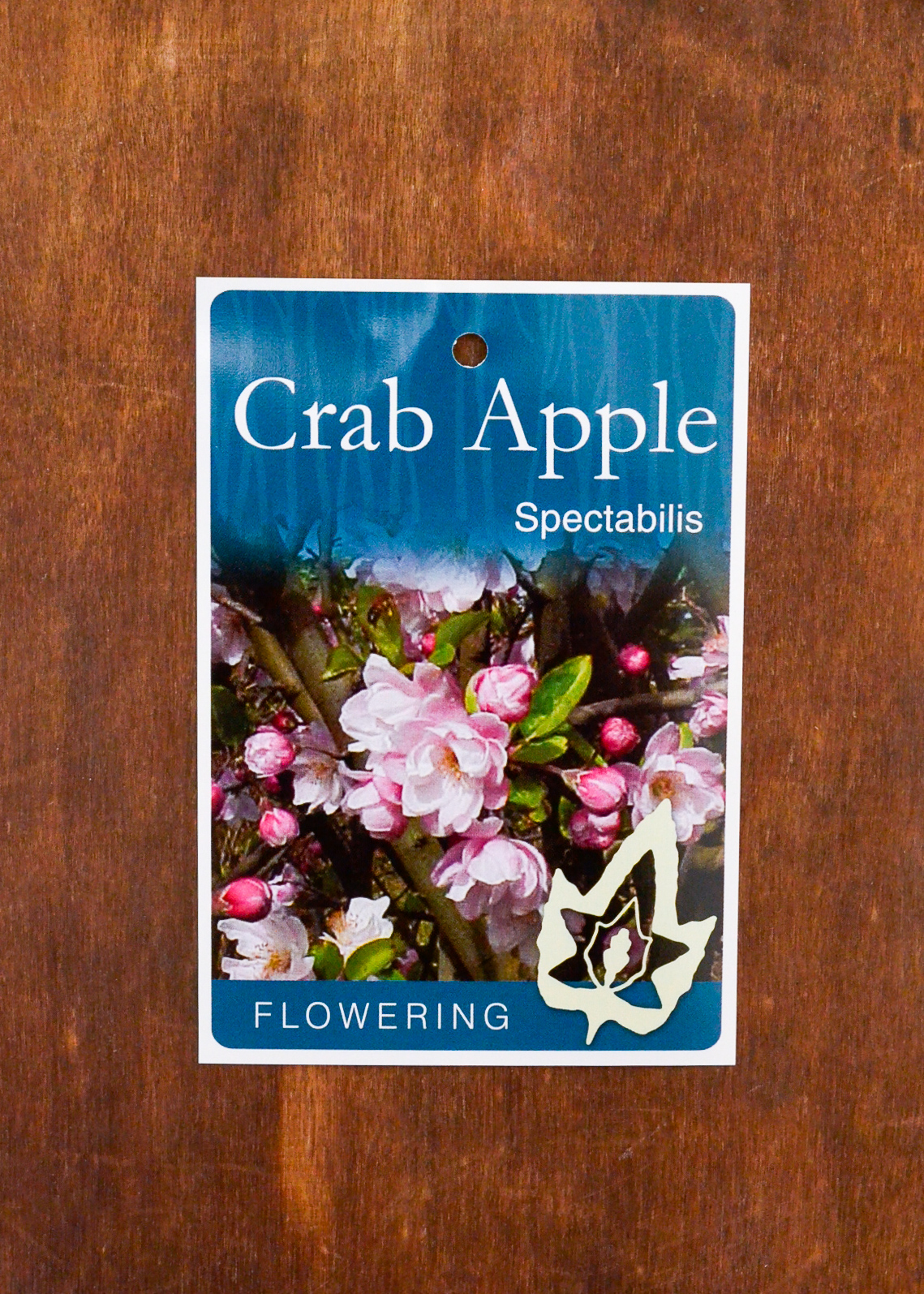 Crab Apple - Spectabilis Plena - Bare Root - Guildford Garden Centre