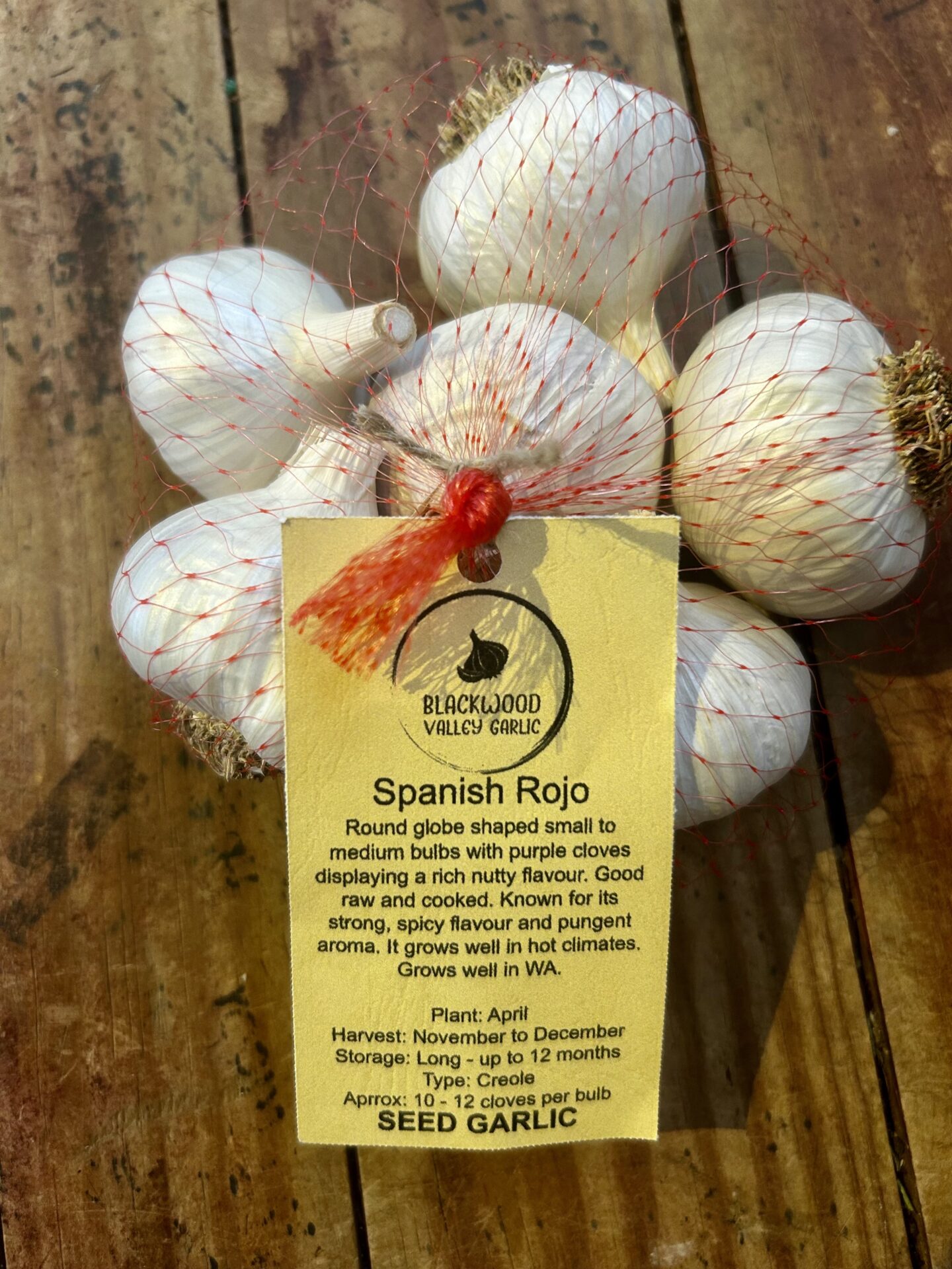 Seed Garlic - Spanish Rojo 250g - Guildford Garden Centre