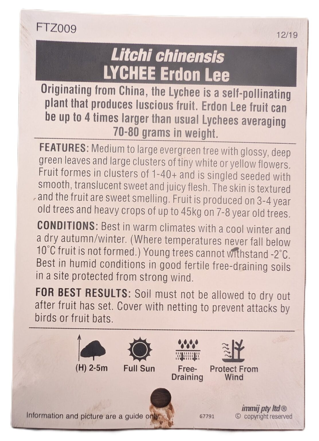 Lychee - Erdon Lee - Guildford Garden Centre
