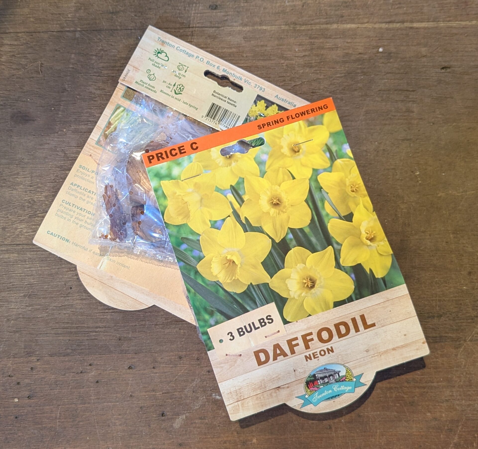 Daffodil - Neon - Bulbs - Guildford Garden Centre