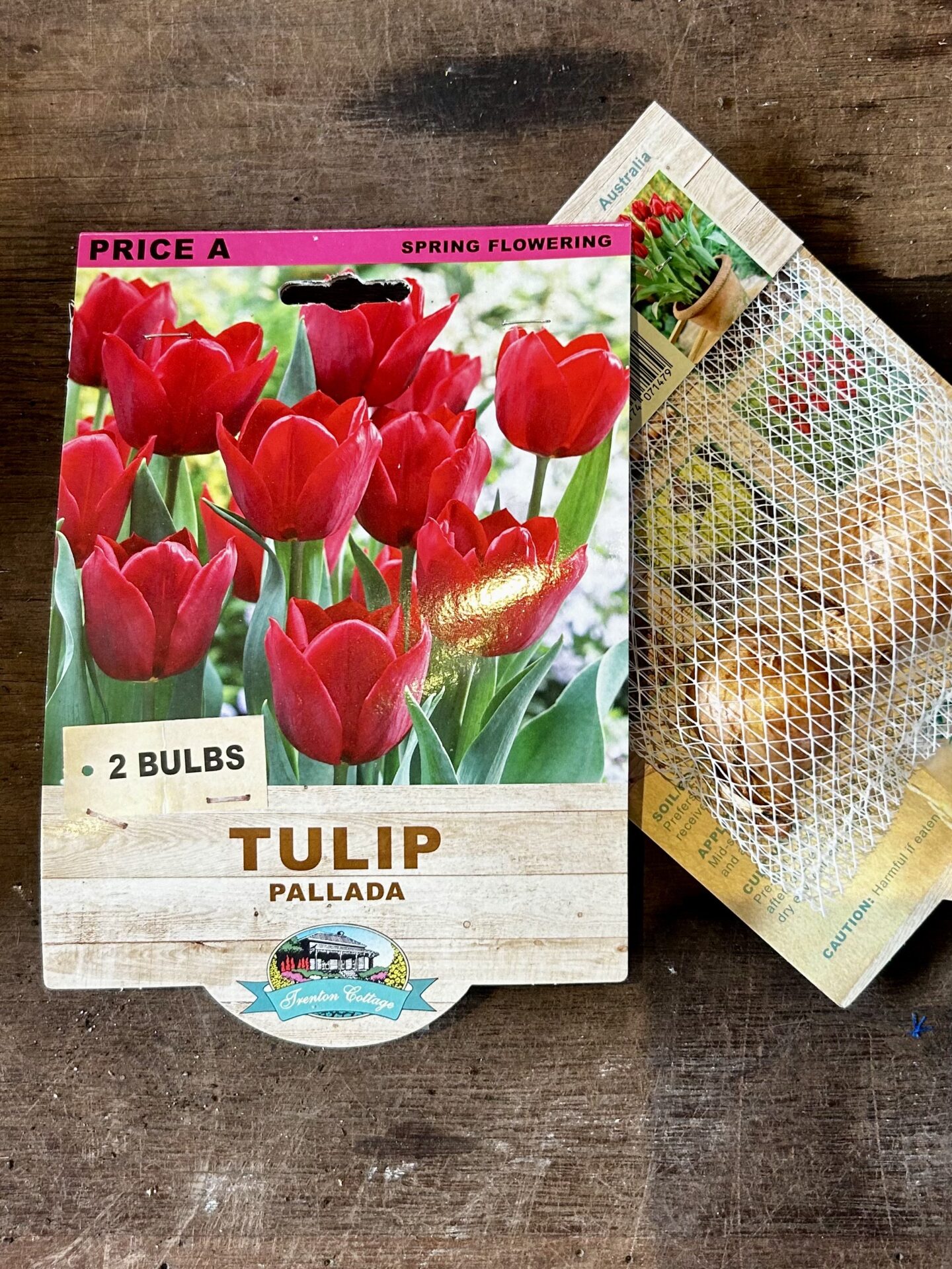 Tulip - Pallada - Bulbs - Guildford Garden Centre