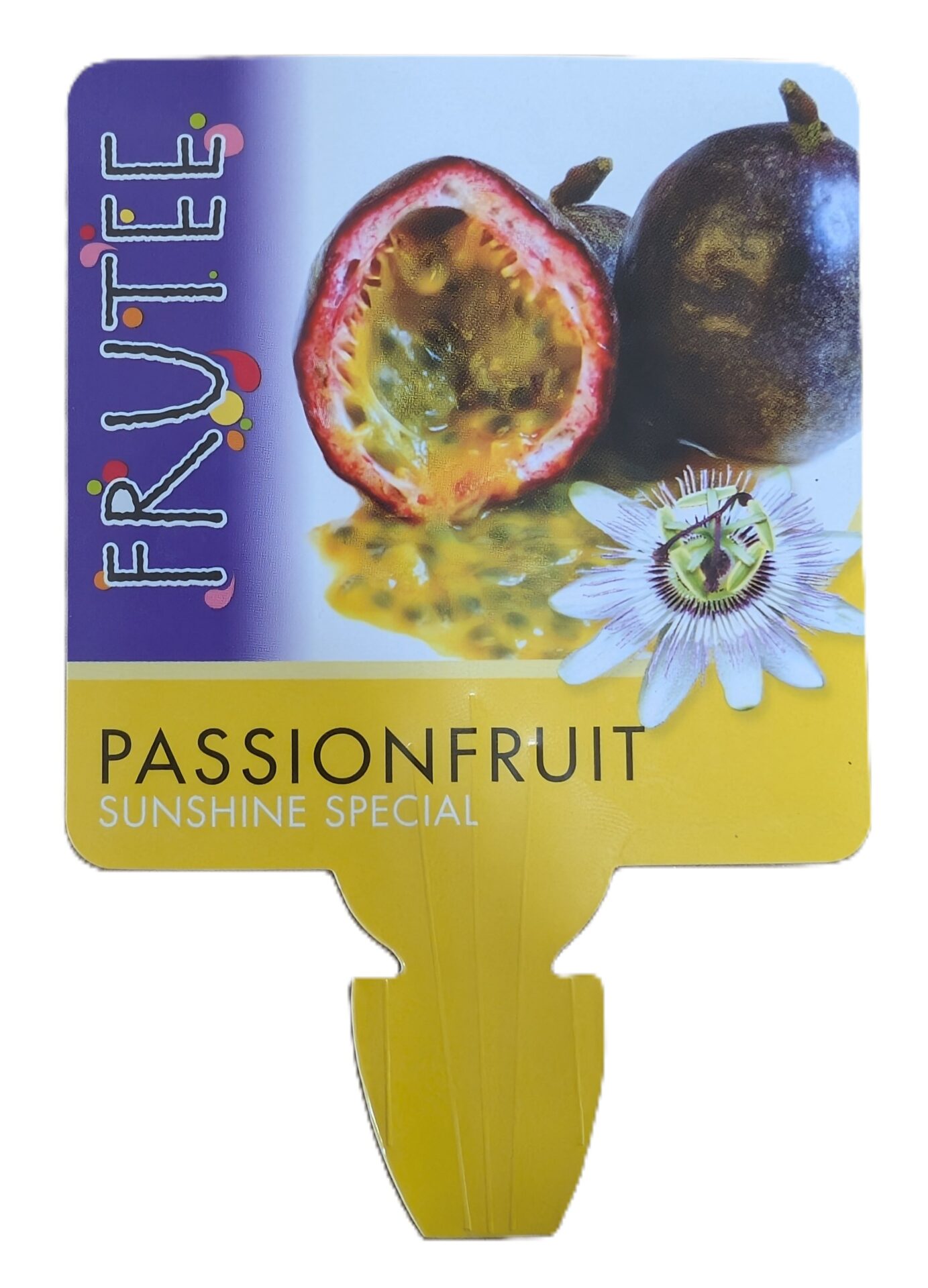 Passionfruit - Sunshine Special - Frutee - Guildford Garden Centre