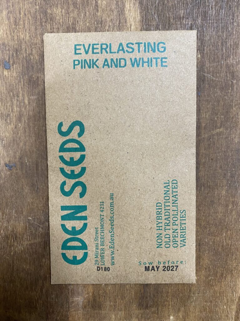 Everlasting - Pink and White - Eden Seeds - Guildford Garden Centre