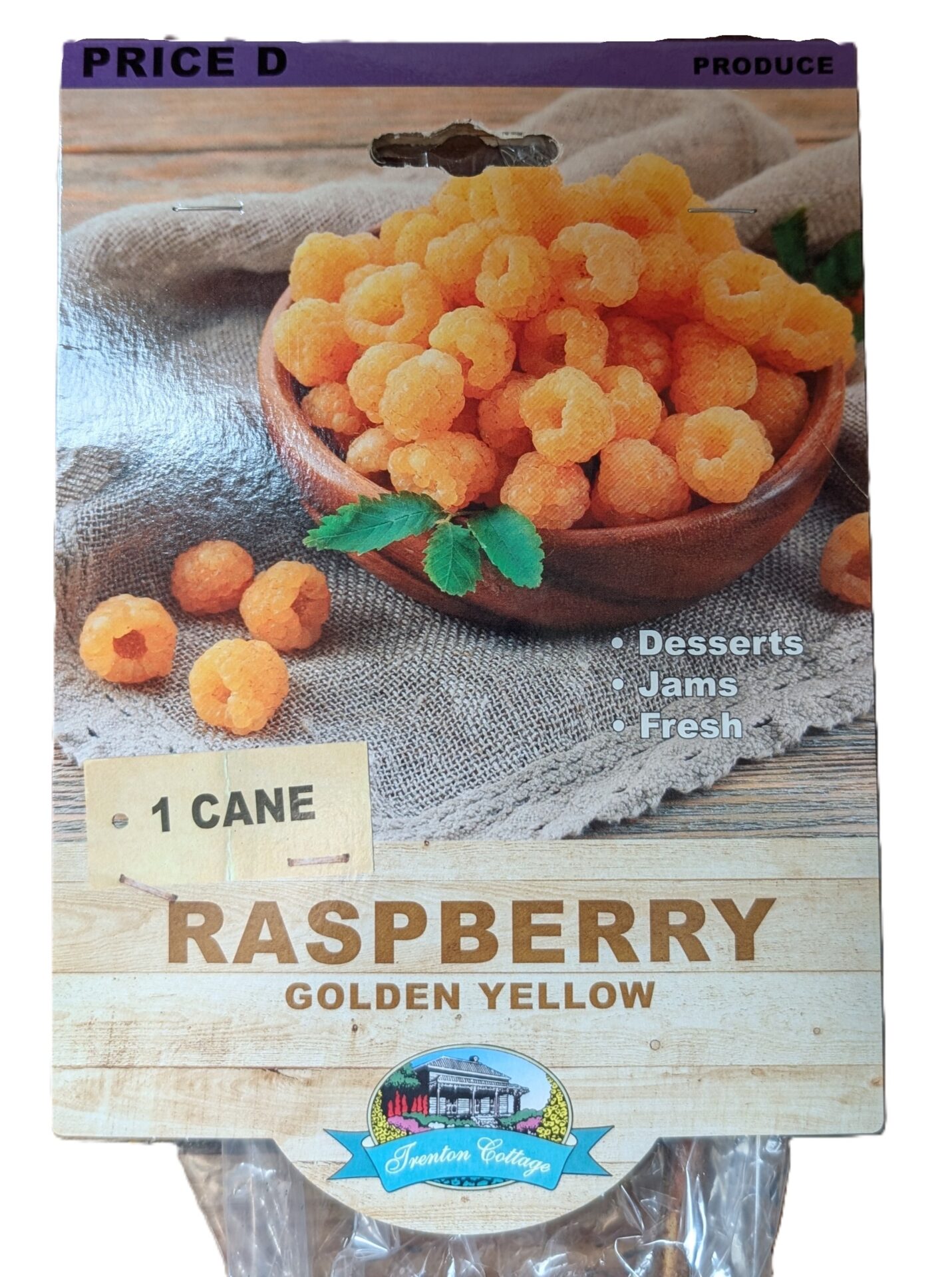 Raspberry - Golden Yellow - Cane - Guildford Garden Centre