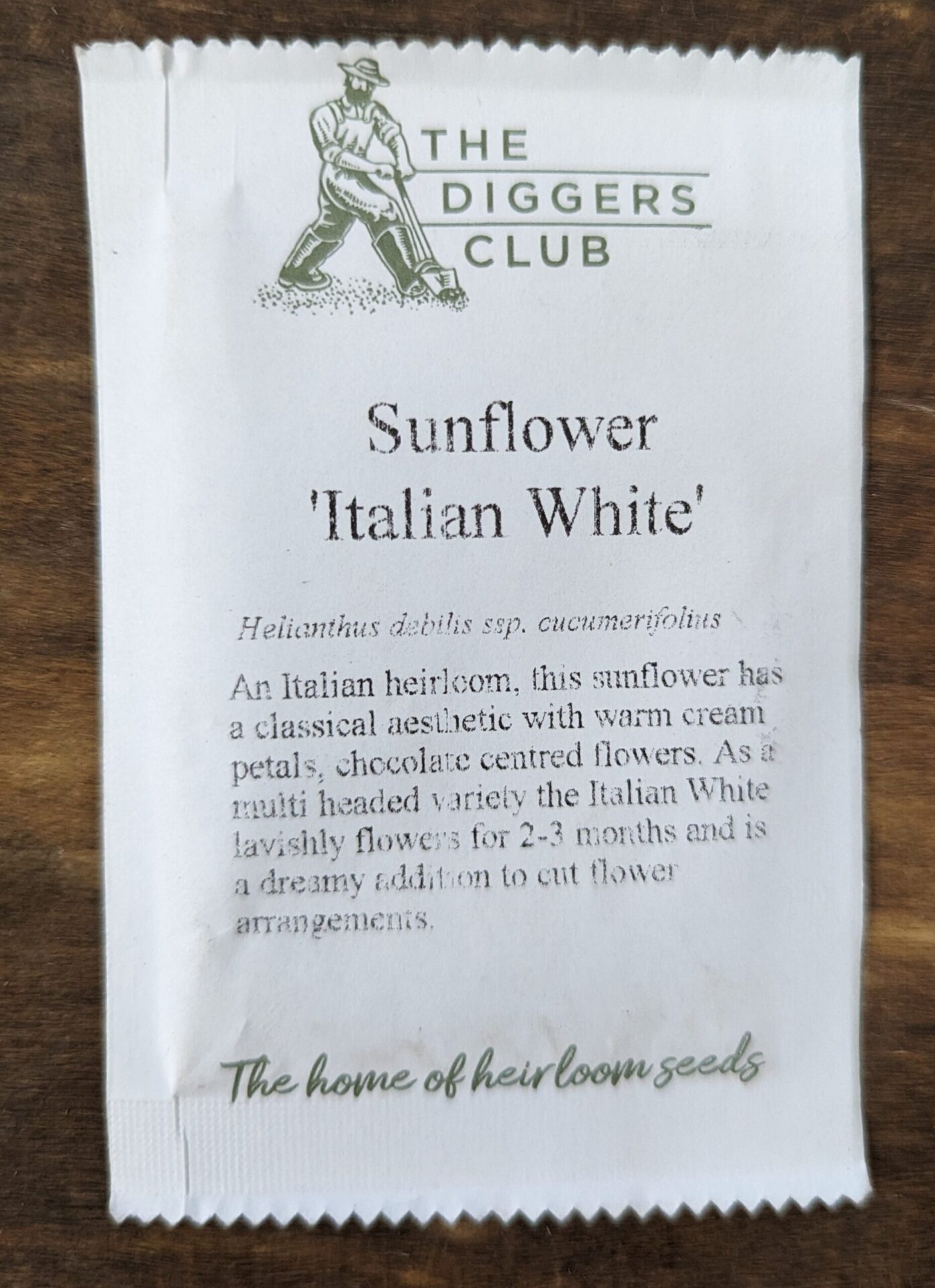 Sunflower - Italian White - Diggers Seeds - Perth, WA - Garden Centre
