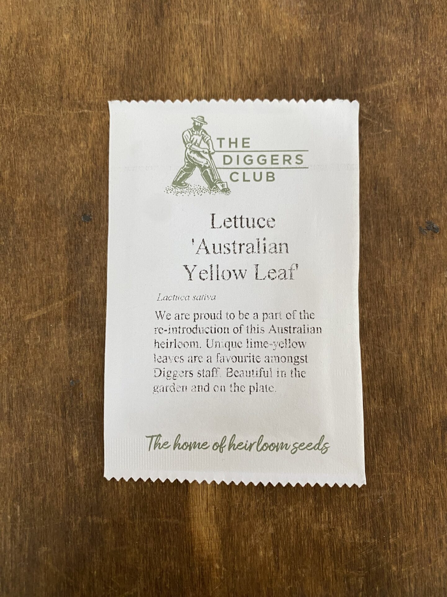 Lettuce - Australian Yellow Leaf - Diggers Seeds - Guildford Garden Centre