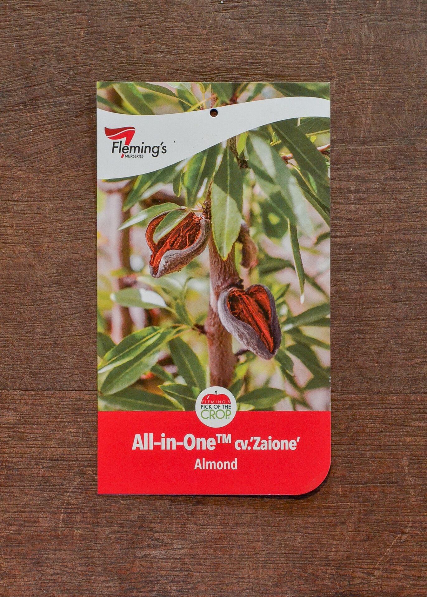 Almond - All-in-One - Zaione Paper Shell - Guildford Garden Centre