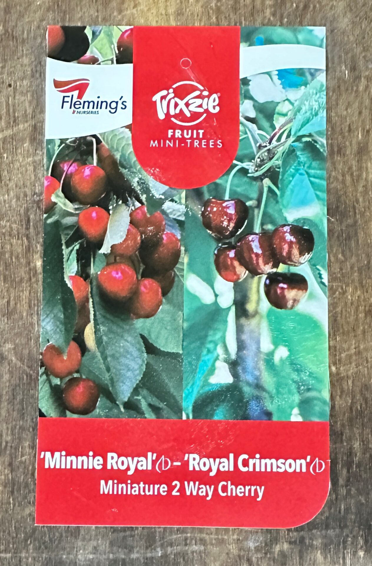 Cherry Trixzie® Multi Graft - Minnie Royal/ Royal Crimson Dwarf ...