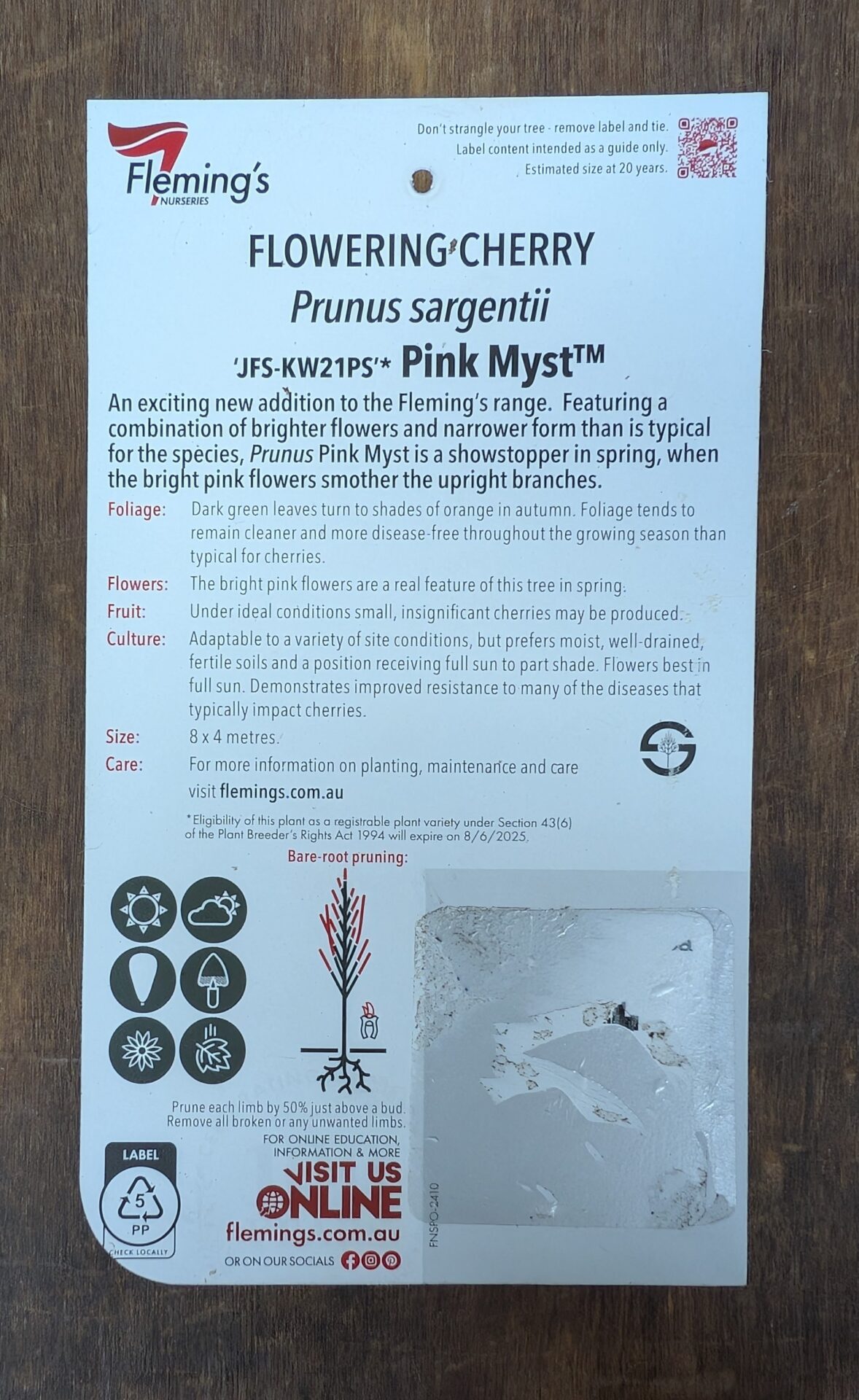 Flowering Cherry - Pink Myst - Guildford Garden Centre