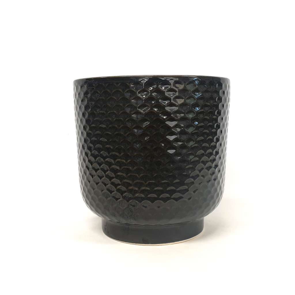 Pot - Black Shell Embossed - Ceramic - Guildford Garden Centre