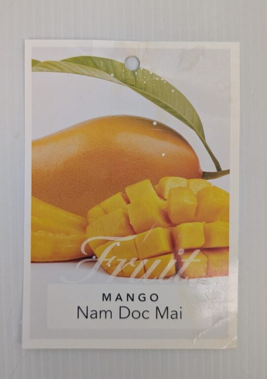 Mango - Nam Doc Mai - Guildford Garden Centre