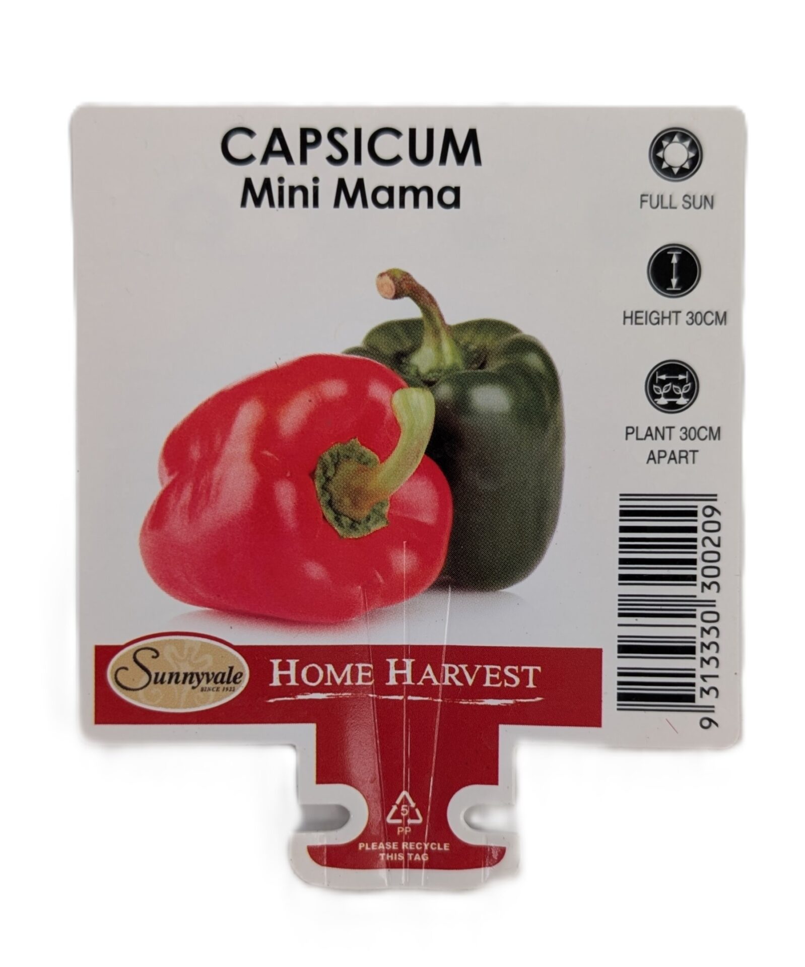 Capsicum - Mini Mama - Guildford Garden Centre