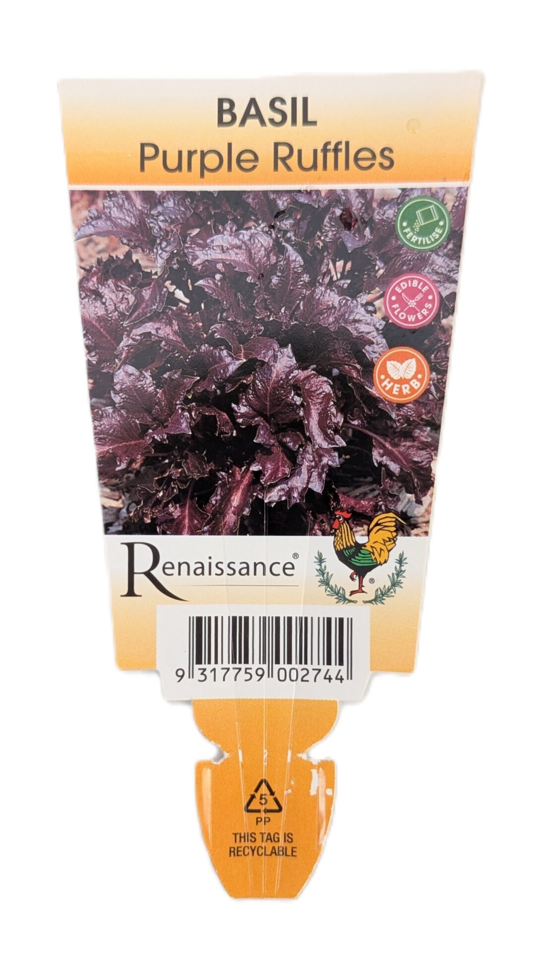 Basil - Purple Ruffles - Renaissance Herbs - Guildford Garden Centre